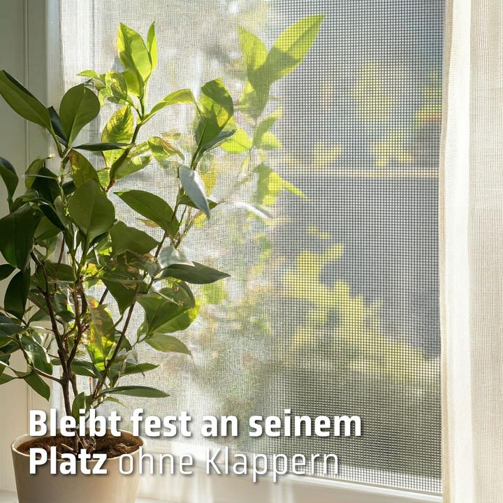 Cocoon Home Concepts Cocoon Insektenschutzrollo mit Kassette weiss ...