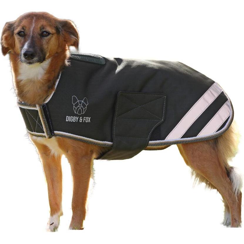 Digby & Fox Hundemantel Logo Wasserfest (S, Hundemantel) - Galaxus