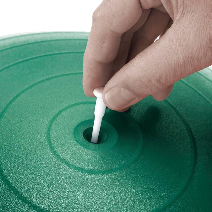 Bodymate Gymnastikball mit Pumpe - buy at Galaxus