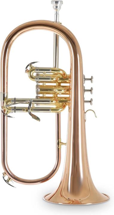 Roy Benson Flugelhorn professionale con becco dorato, valvole ...