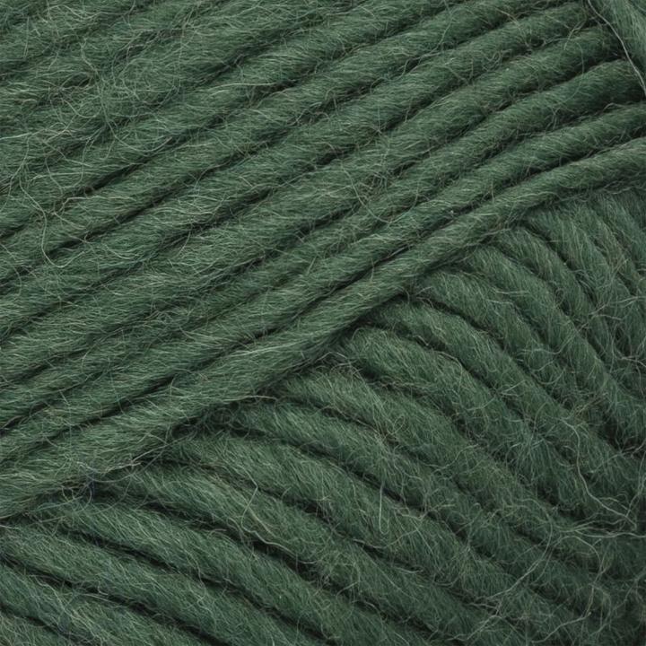 Novita Hygge Chunky col. 380 Wald 100 m 100 g (100 m) - buy at Galaxus