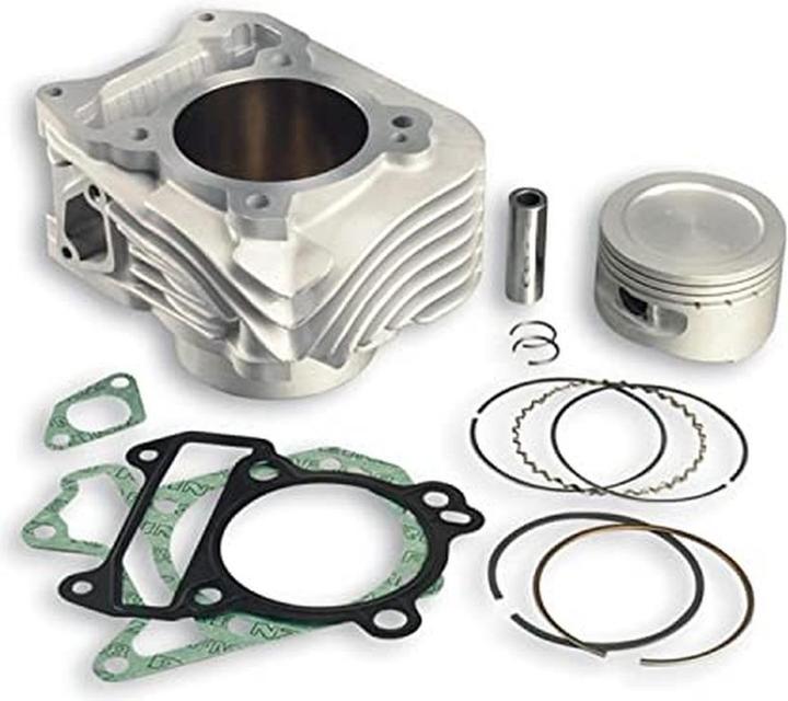 Malossi Cilinderkit Racing 187cc voor Piaggio Leader carburateur - Digitec