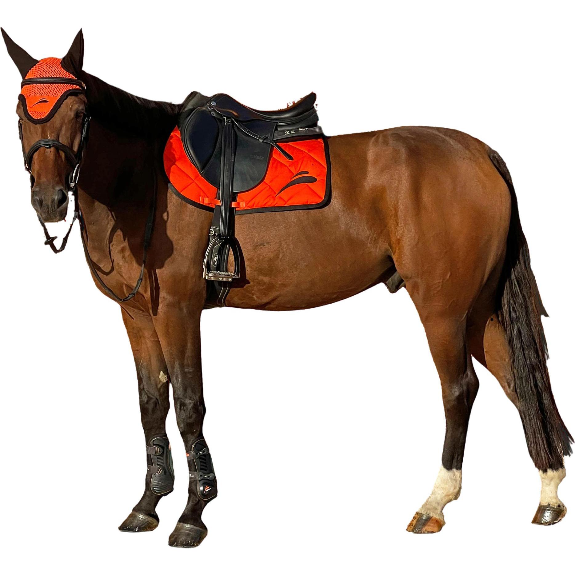 eQuick Jumping Saddle Pad - buy at Galaxus