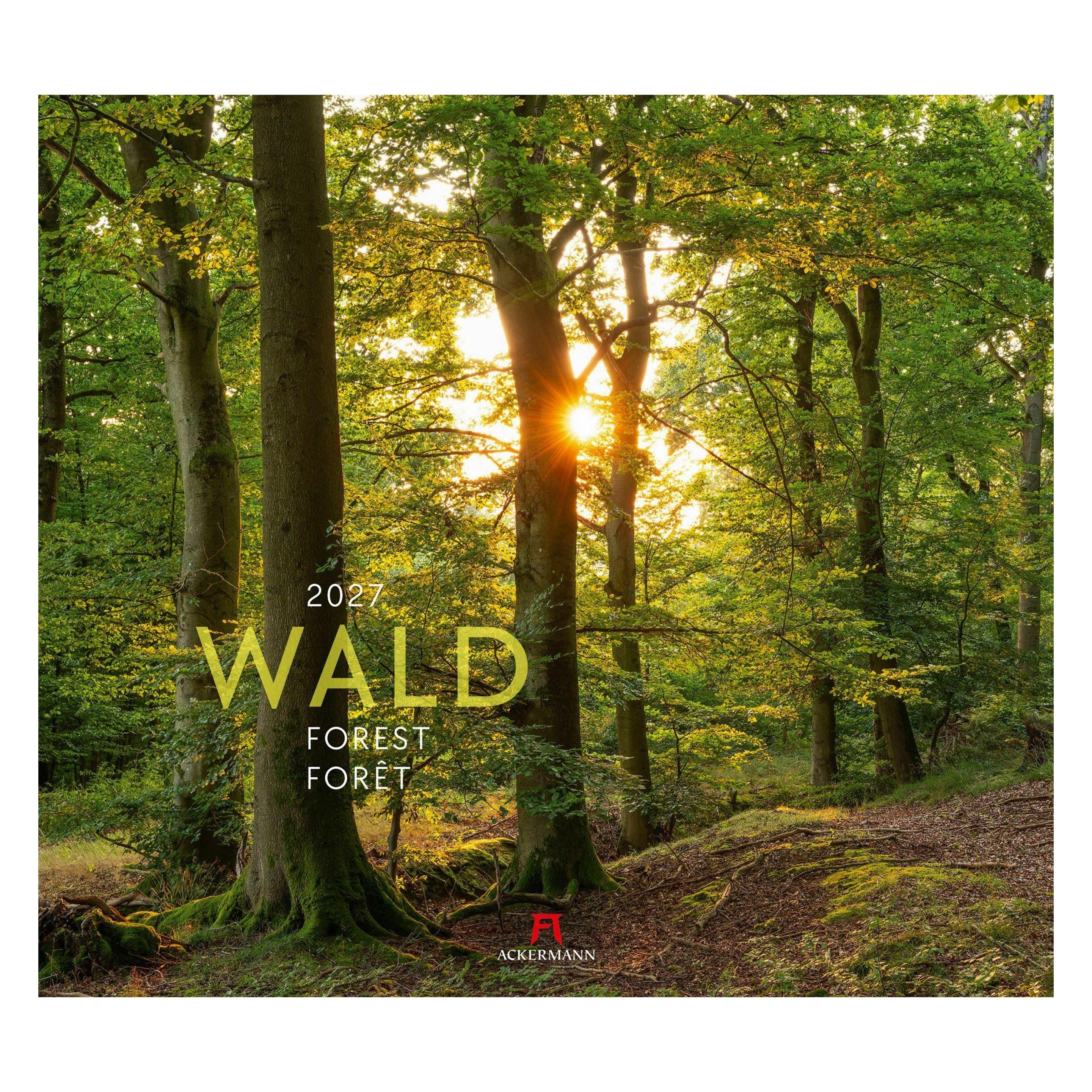 Wald Kalender 2027 - kaufen bei Galaxus - Galaxus
