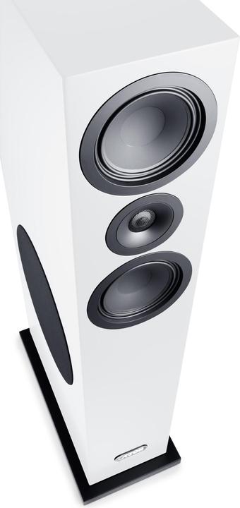 Canton Edizione Karat GS - acquista su Digitec