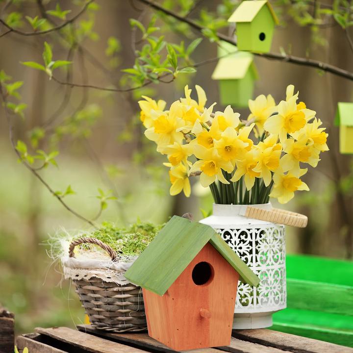 Relaxdays Deko Vogelhaus - buy at Galaxus