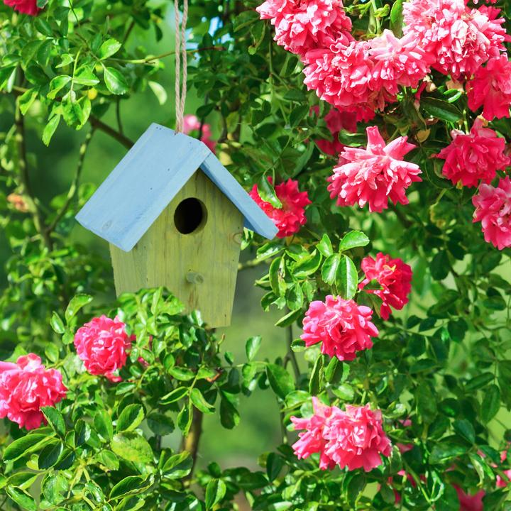 Relaxdays Deko Vogelhaus - buy at Galaxus