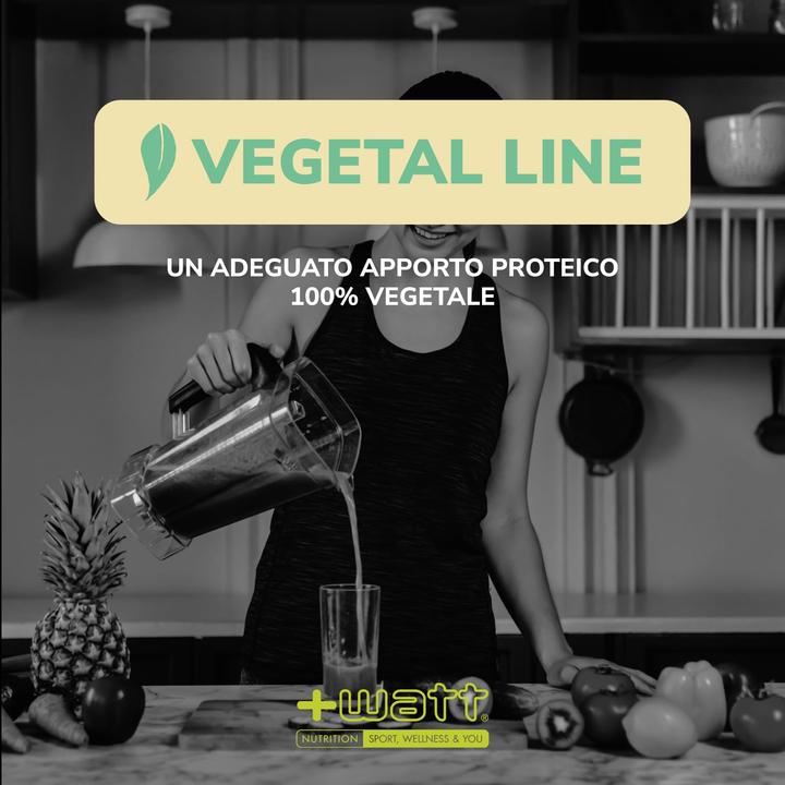 +watt Sojaprotein 221 Haselnussgeschmack - Umschlag