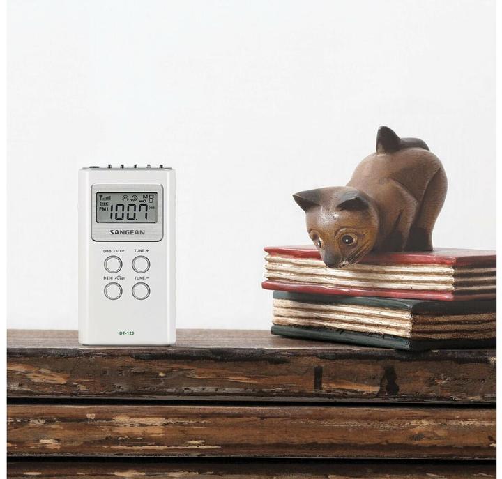 Sangean Radio numérique FM/AM, PLL - acheter sur Digitec