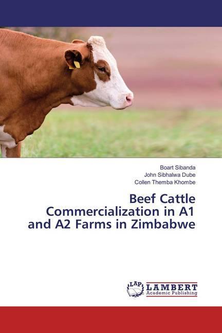 Lap Lambert Academic Beef Cattle Commercialization in A1 and A2 Farms ...