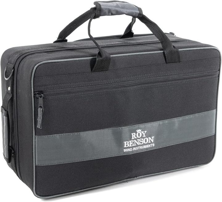 Roy Benson Flugelhorn professionale con becco dorato, valvole ...