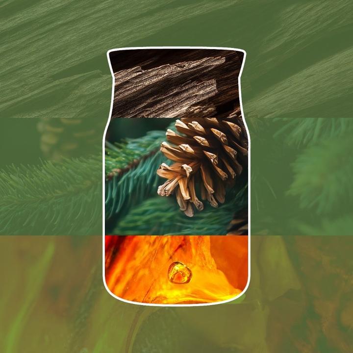 Yankee Candle Balsam & Cedar Fireside - kaufen bei Galaxus - Galaxus
