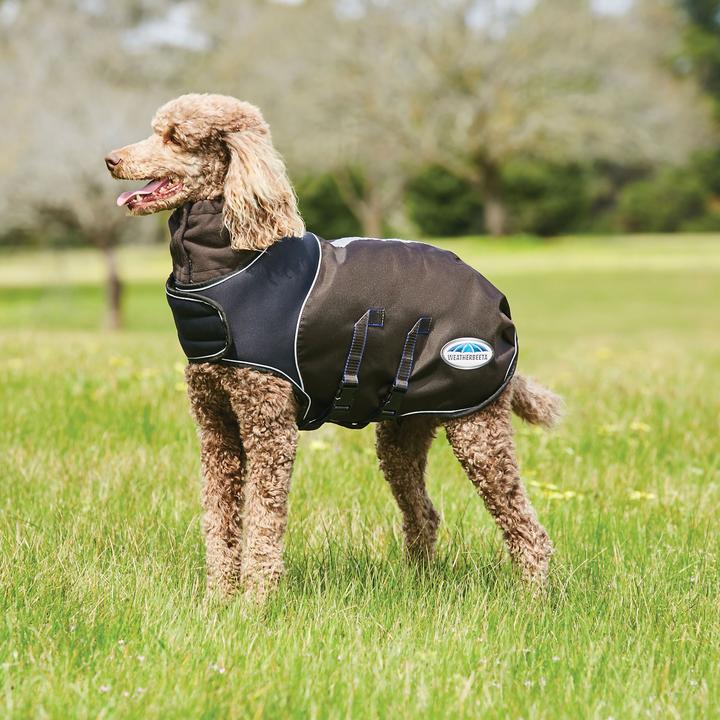 Weatherbeeta ComFiTec Ultra Cozi (25, Dog coat) - buy at Galaxus