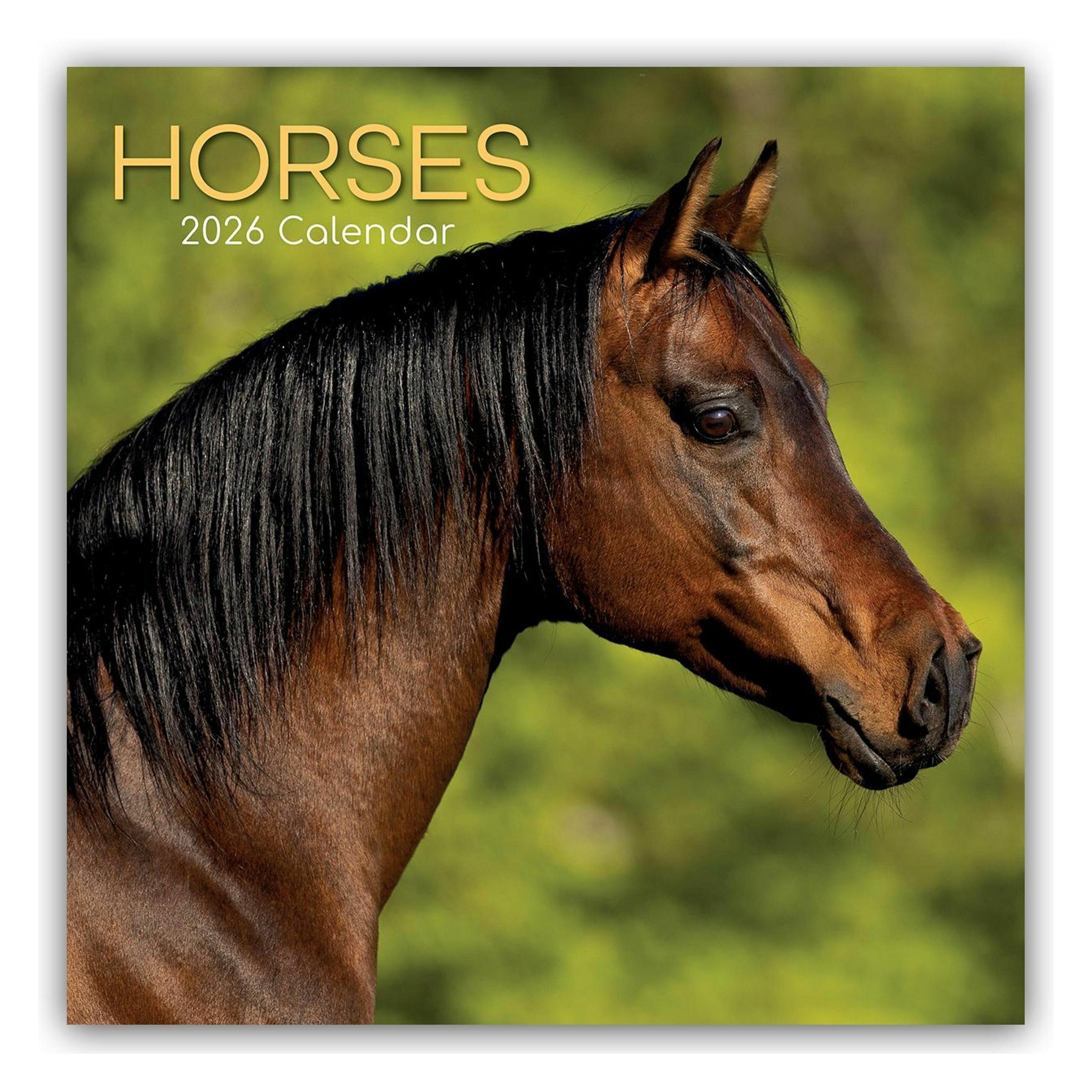Gifted Stationery Co. Ltd:Horses - Pfer - kaufen bei Digitec