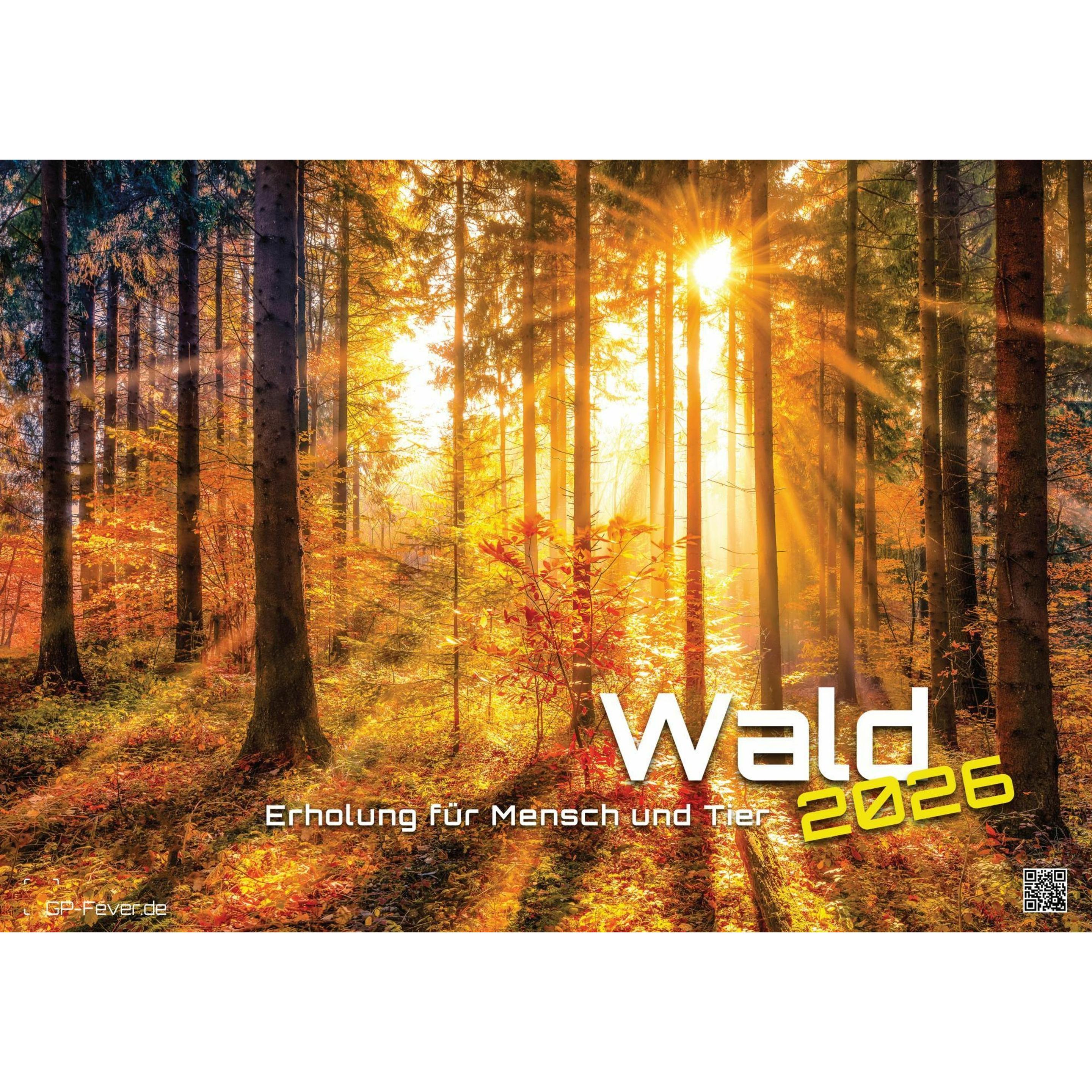 GP Fever Wald - Erholung fr Mensch und Tier - 2026 - Kalender DIN A3 ...