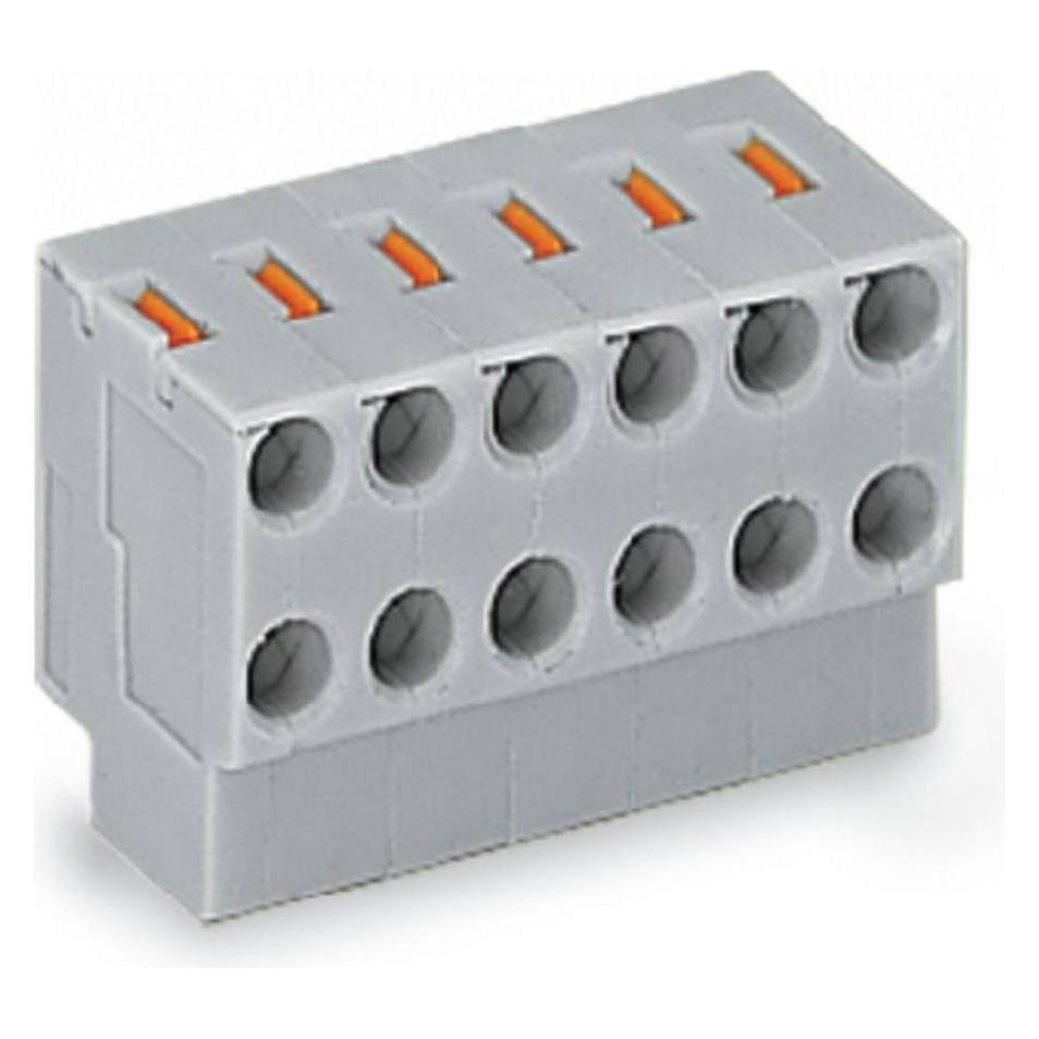 Wago 2-wire female multipoint connector - buy at Digitec