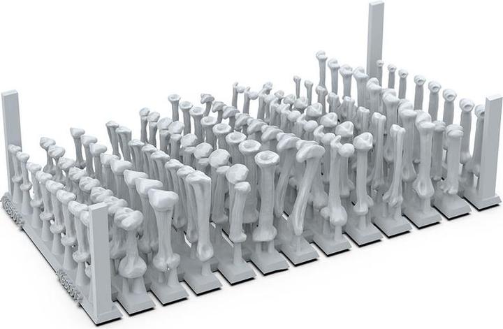 AK Interactive HUMAN BONES - BASING BITS 120 pieces - Galaxus