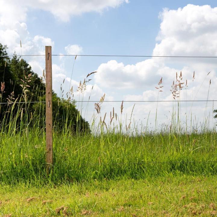 Gallagher High-strength electric fence cable - buy at Galaxus