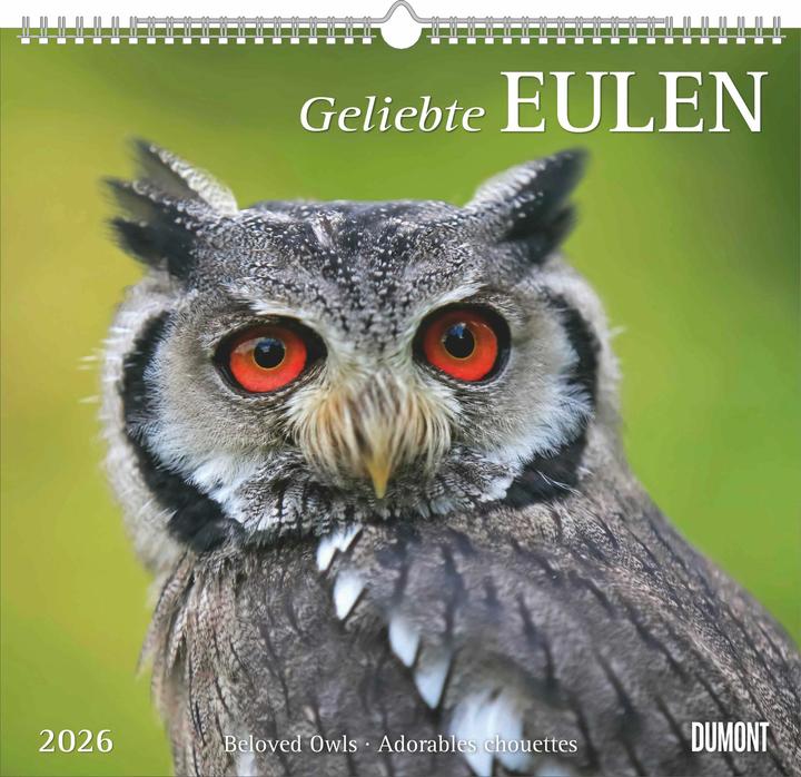 DuMont Geliebte Eulen 2026 - Wandkalender - mit den wichtigsten ...