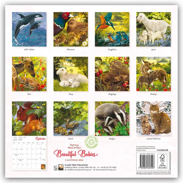 Flame Tree Patricia MacCarthy's Baby Animals Wall Calendar 2026 (Art ...
