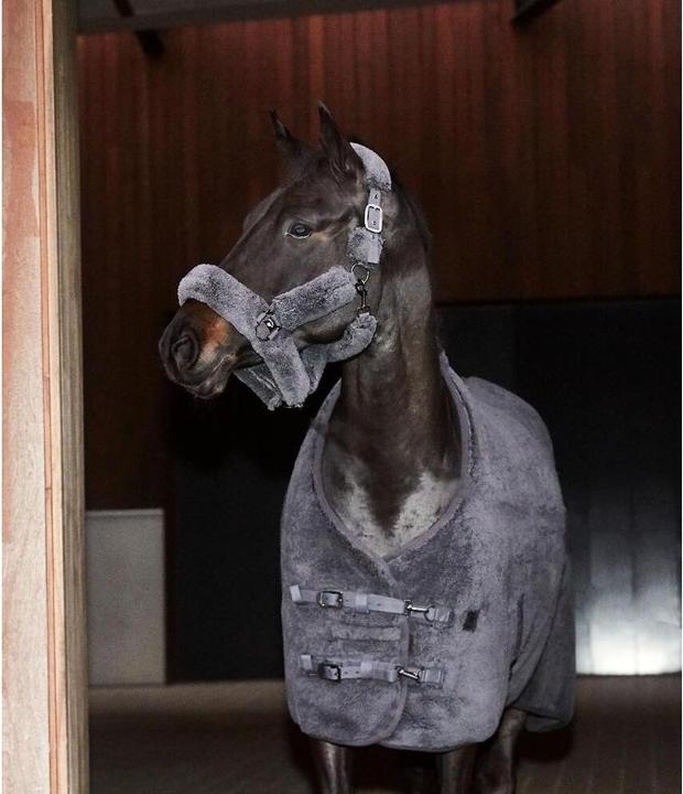 Catago Quick Dry - kaufen bei Galaxus