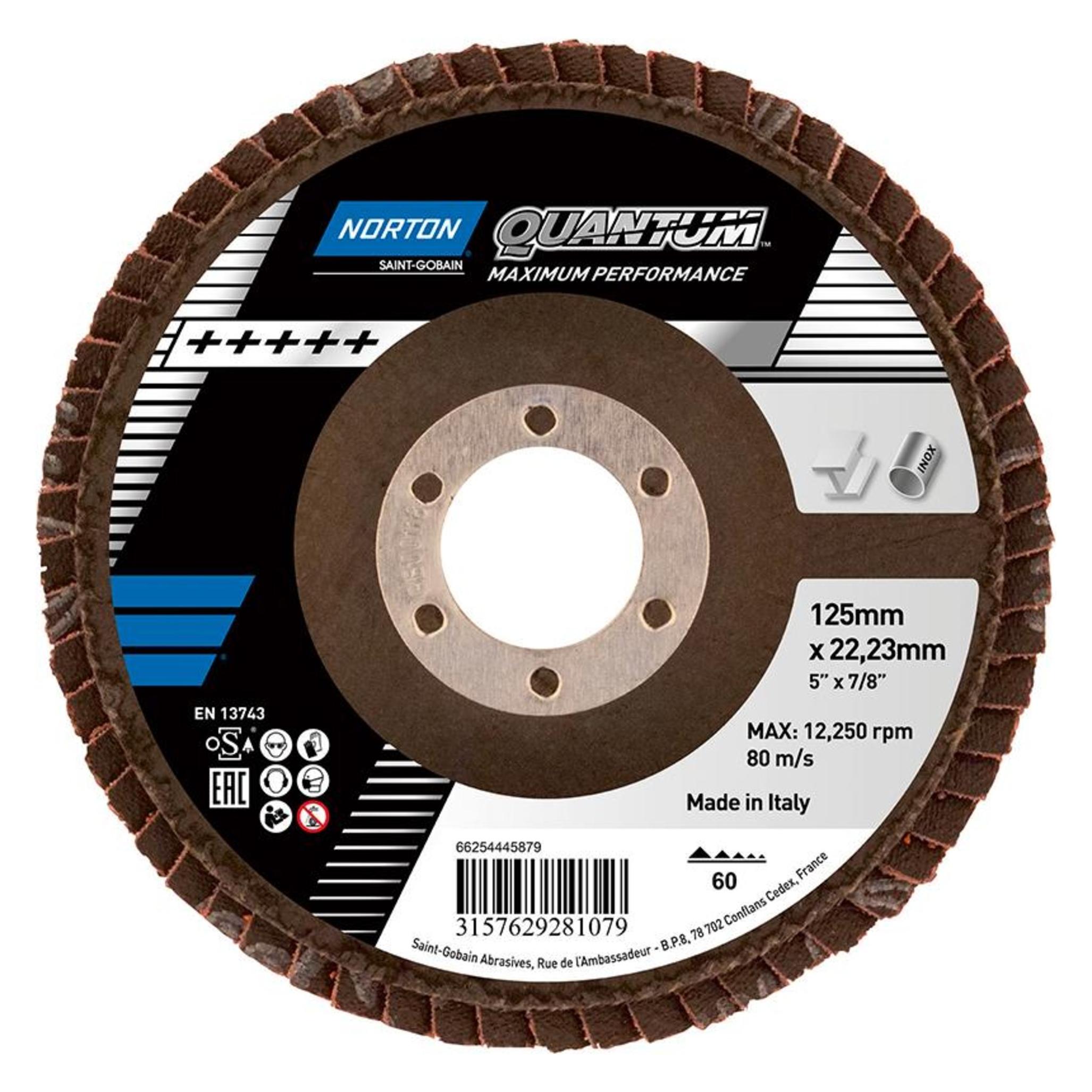 Norton Clipper QUANTUM PREMIUM R996 valve disc, convex - Galaxus