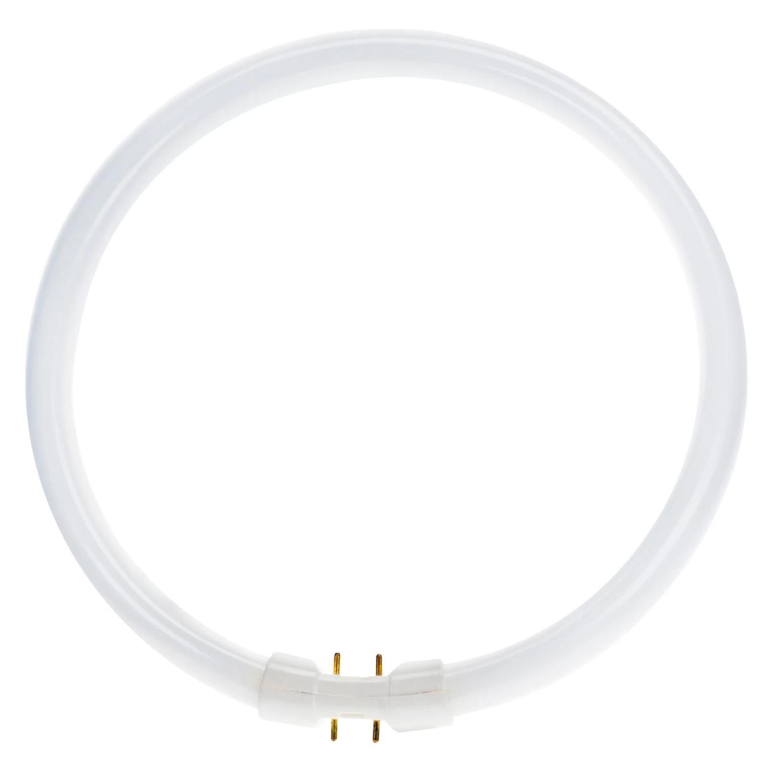 Philips Master TL5 Circular (2GX13, 5000 lm, 1x) - kaufen bei Galaxus ...