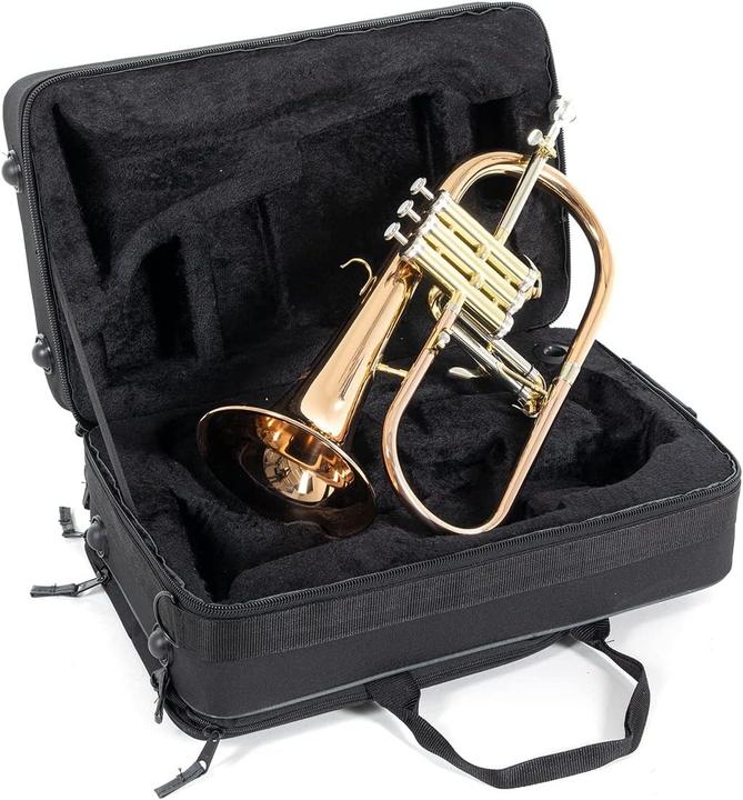 Roy Benson Flugelhorn professionale con becco dorato, valvole ...