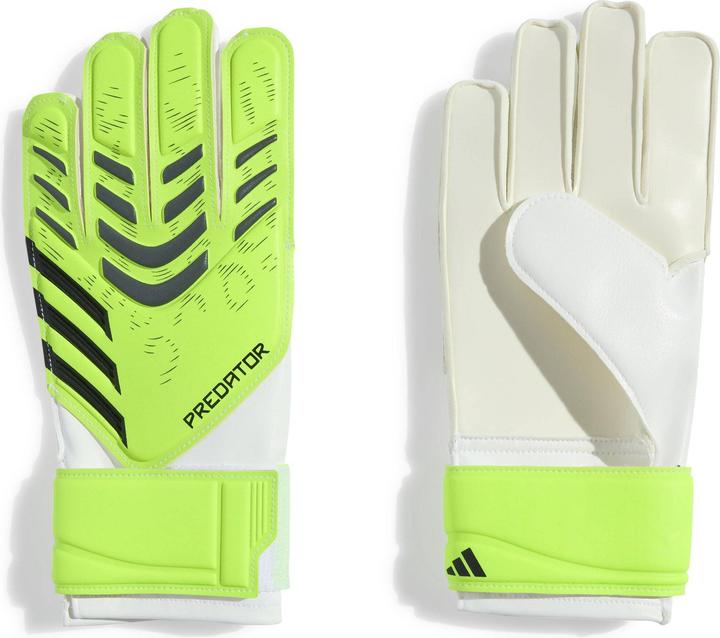adidas Predator Training Lime Kinder-Torwarthandschuhe - Galaxus