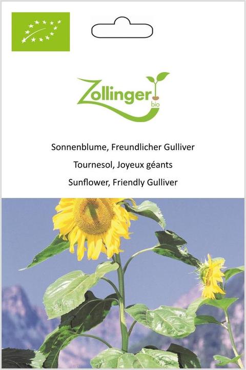 Zollinger Bio Tournesol, Gulliver amical - acheter sur Galaxus