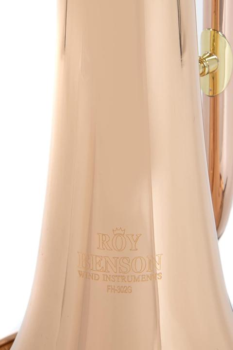 Roy Benson Flugelhorn professionale con becco dorato, valvole ...