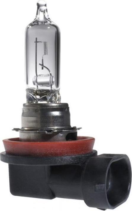 Scharnberger+Hasenbein Autolampe Halogen H9 - kaufen bei Digitec