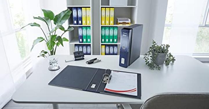 Rexel Dox 2 Class Lever Arch File Binder White Paper - buy at Digitec