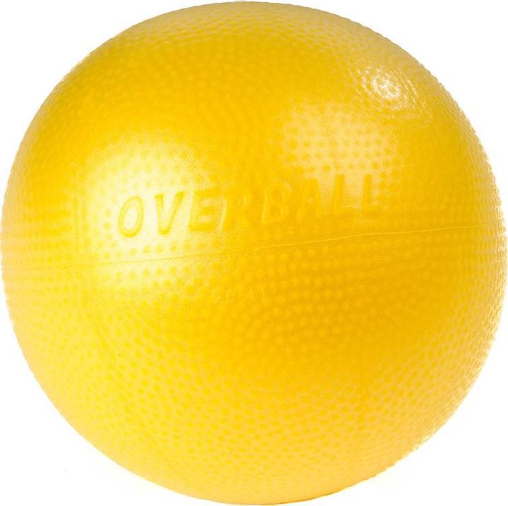 Ledraplastic Overball - kaufen bei Digitec