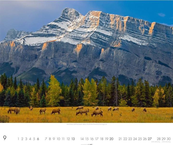 Weingarten Kanada Kalender 2026 - Der Ruf der Wildnis - Digitec