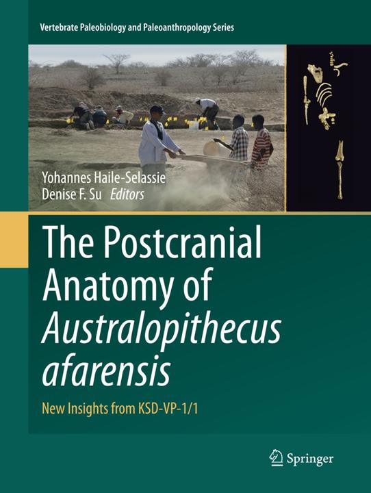 Springer The Postcranial Anatomy of Australopithecus afarensis - Galaxus