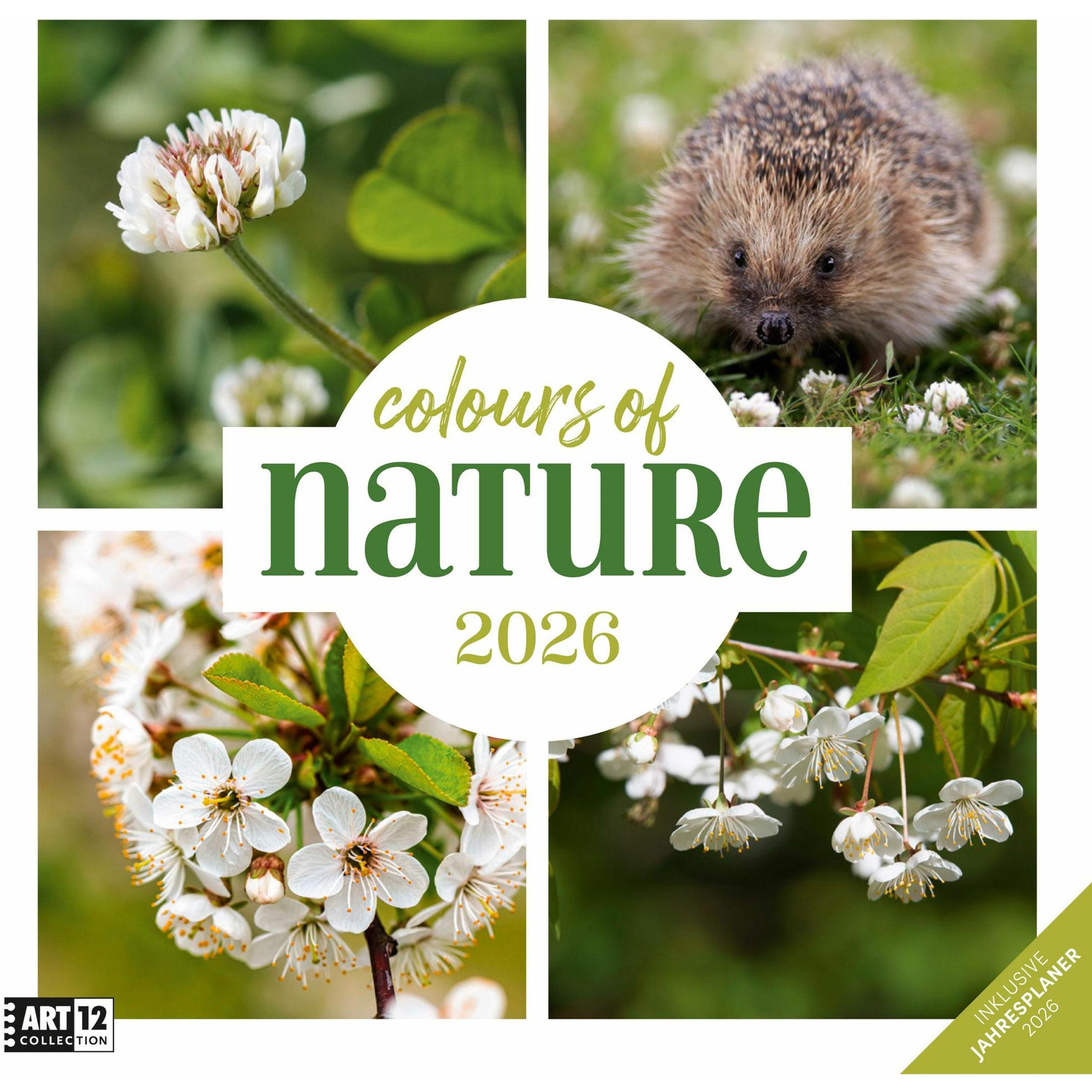 Ackermann Colours of Nature Kalender 2026 - kaufen bei Galaxus