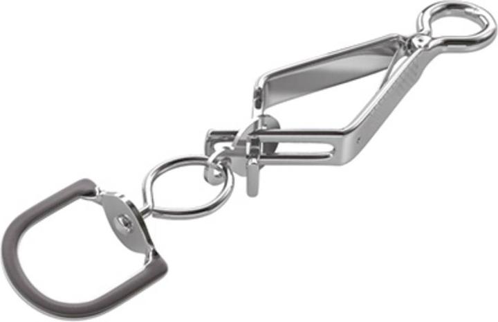 Dörner + Helmer Hundeleinenhaken vernickelt - kaufen bei Galaxus