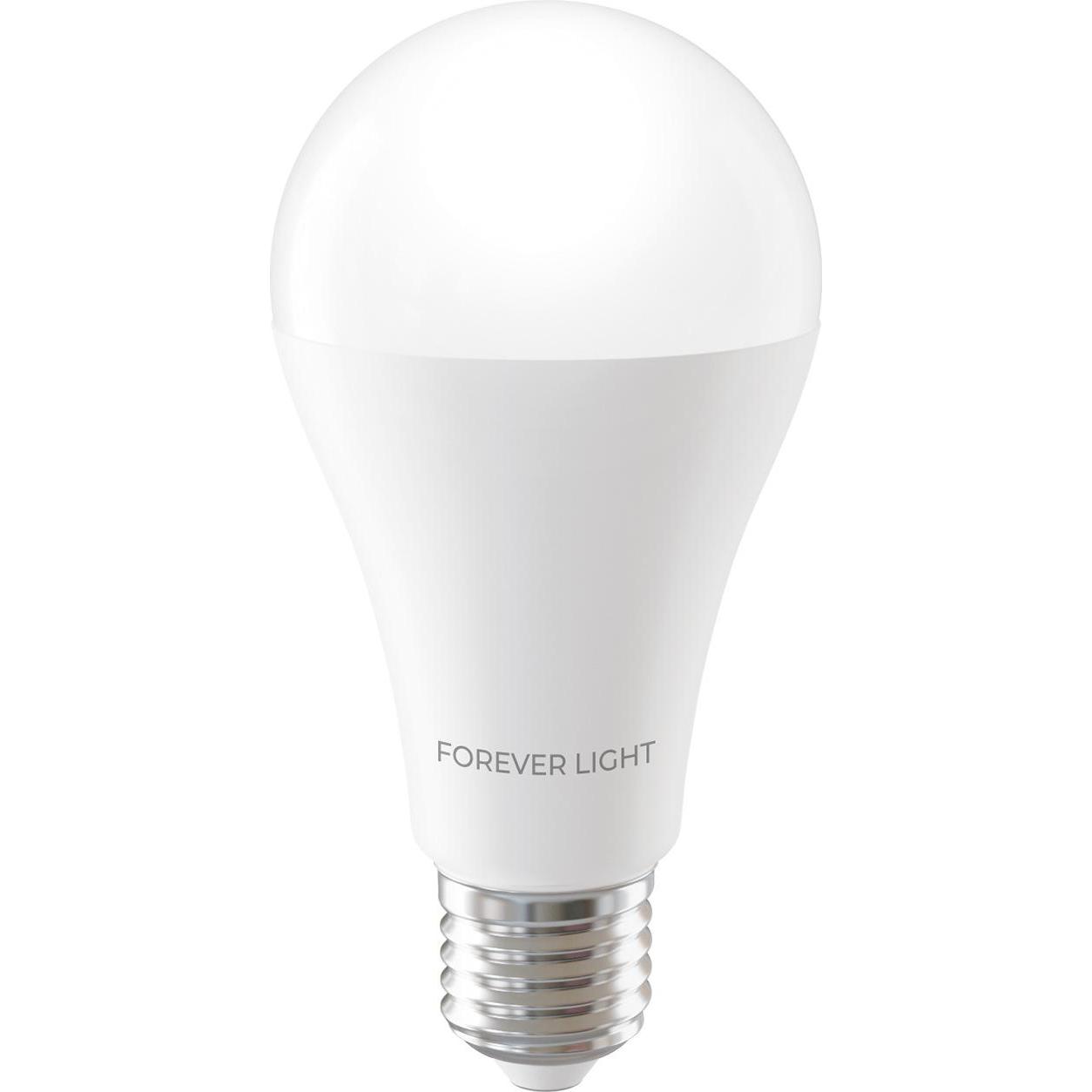 Forever Light LED Bulb E27 A65 17W 2100lm 3000K class E - Digitec