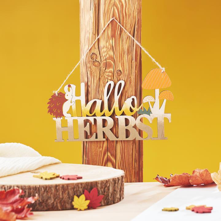 VBS Holzschild "Hallo Herbst" - kaufen bei Galaxus - Galaxus