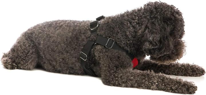 Gooby Step-In Hundegeschirr XL - kaufen bei Galaxus - Galaxus