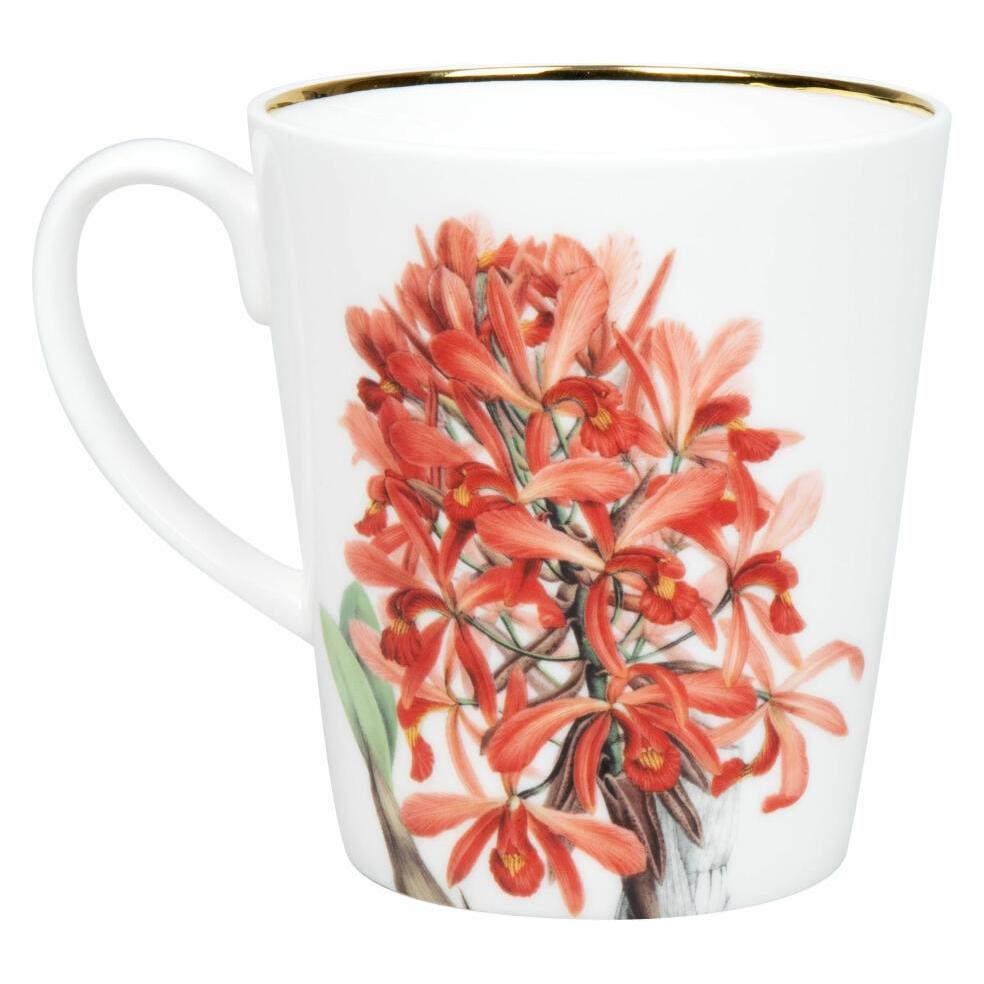 Könitz Becher Laelia superbiens, in Geschenkbox, Bone China, Rot, 600 ...