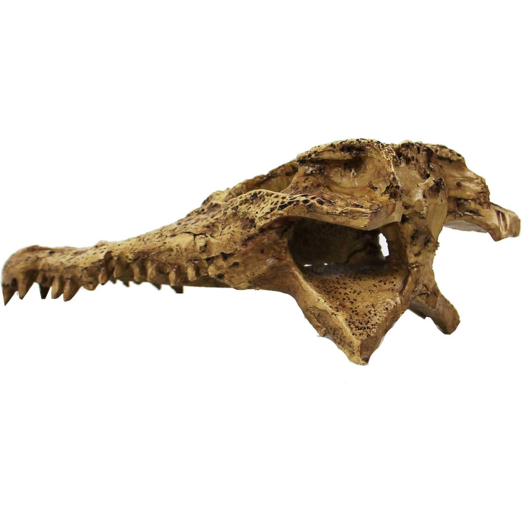 Reptiles-Planet Gator Bones - buy at Galaxus