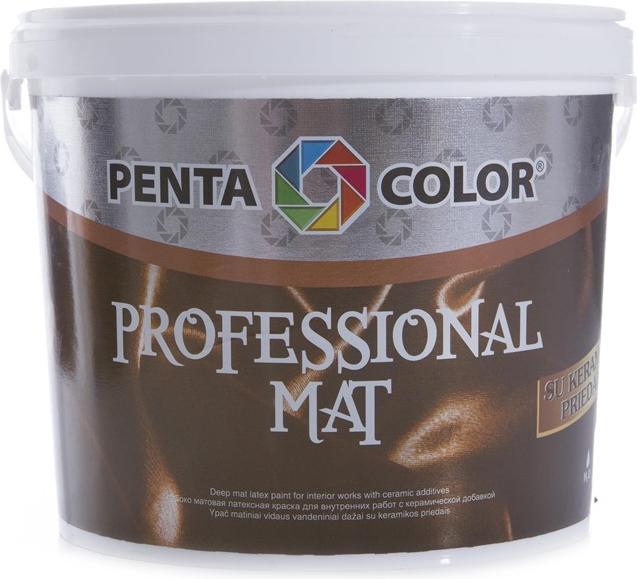 Pentacolor Dispersion Paint Professional Mat - acheter sur Galaxus
