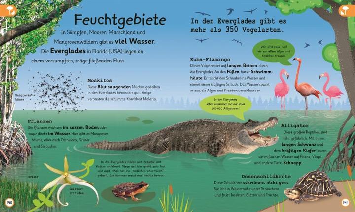 Dorling Kindersley Wissen für Vorschulkids. Was weisst du über die Erde ...