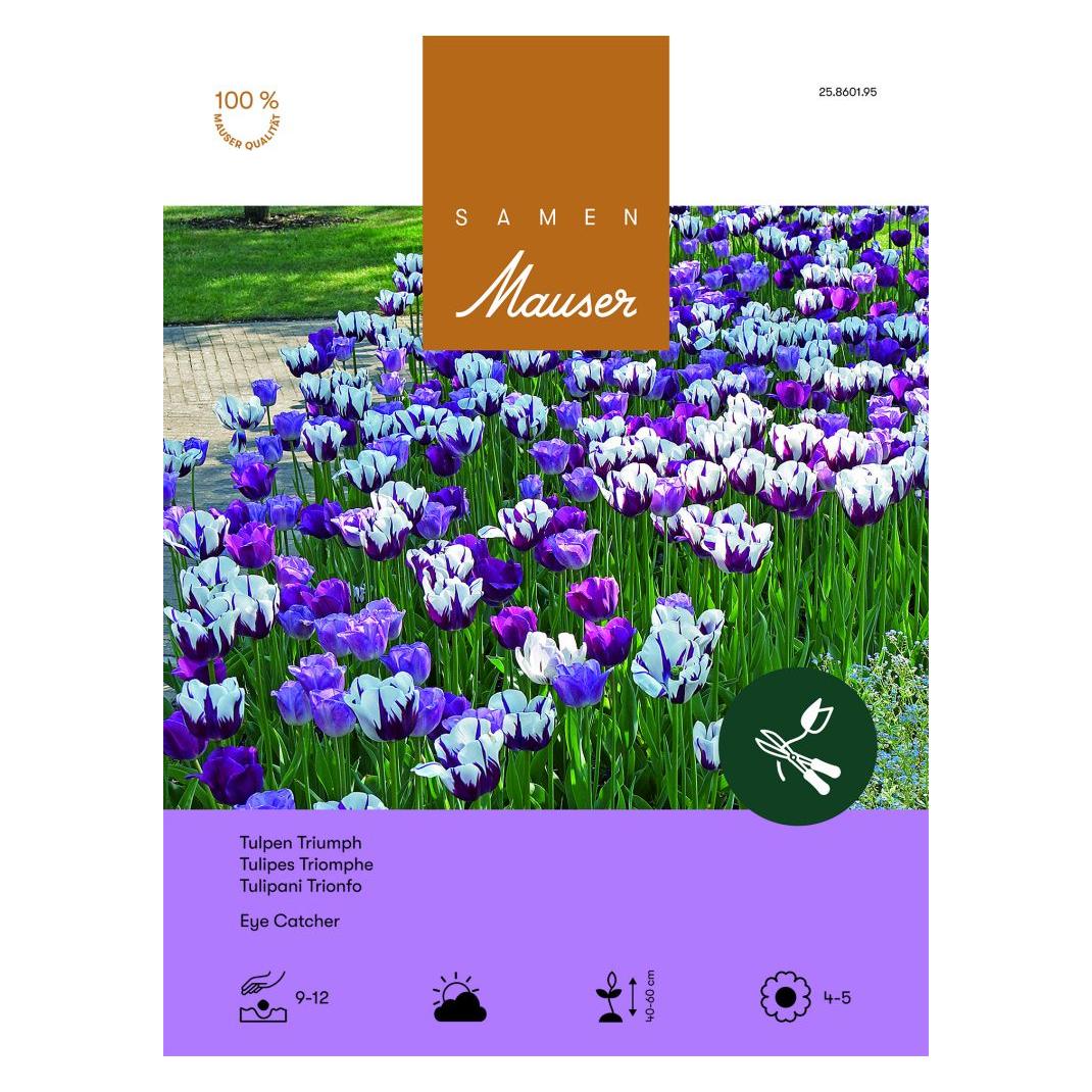 Samen Mauser Eye Catcher Tulpenmischung - kaufen bei Galaxus - Galaxus