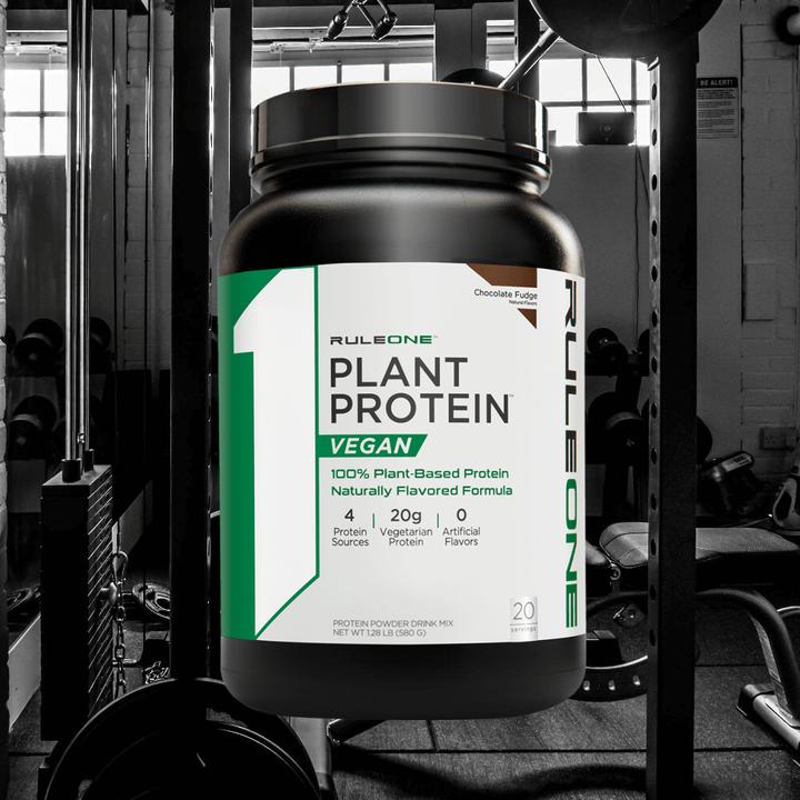 Rule 1 R1 Plant Protein - kaufen bei Galaxus