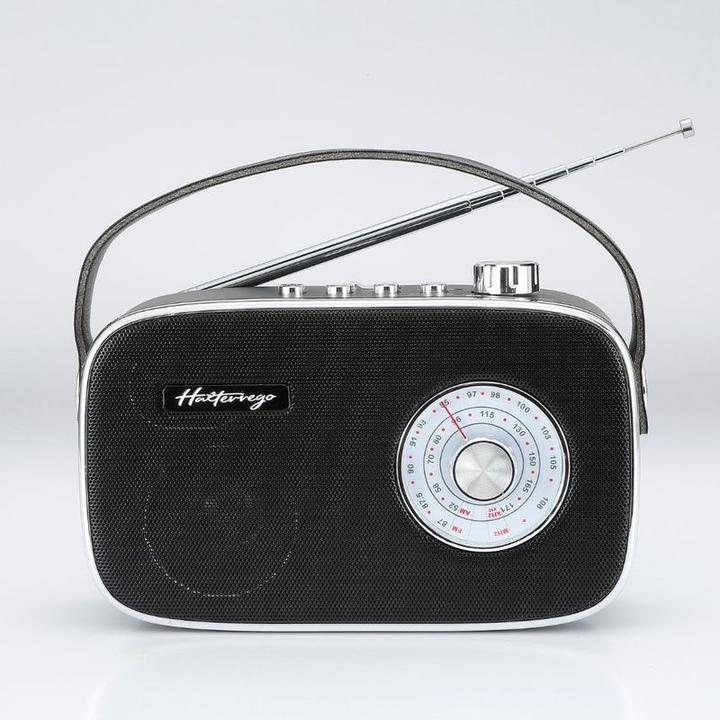 Halterrego Radio style rétro AM/FM, BT V5.0, lecteur USB et carte micro ...