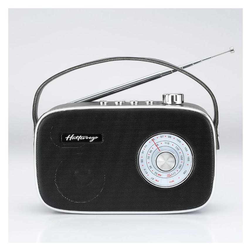 Halterrego Radio style rétro AM/FM, BT V5.0, lecteur USB et carte micro ...