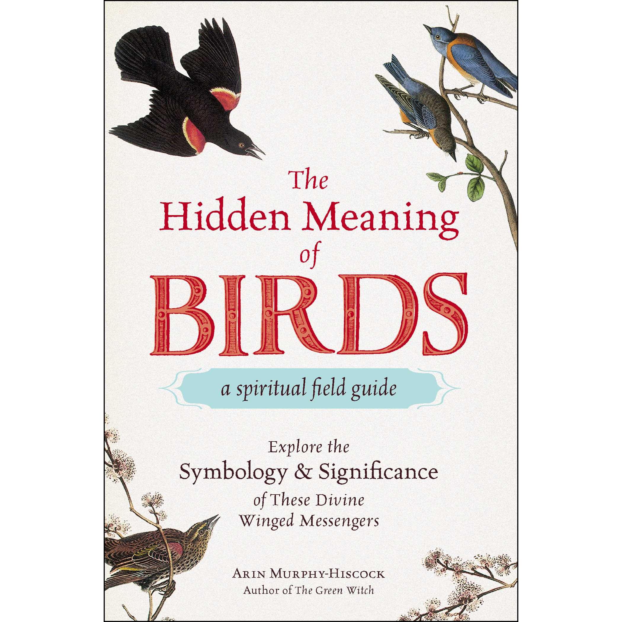Simon & Schuster The Hidden Meaning of Birds--A Spiritual Field Guide ...